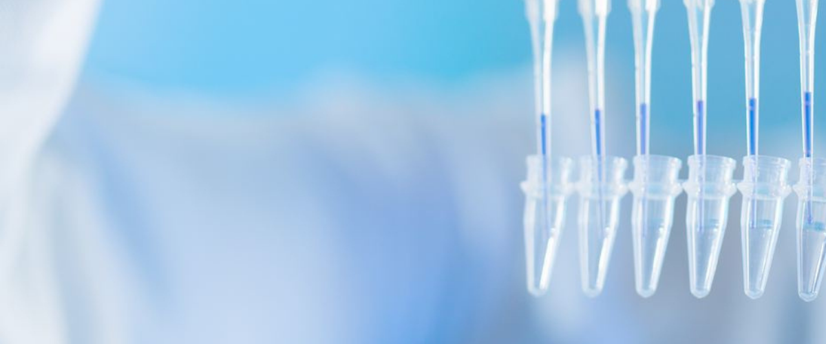 Healthcare - Portal ENAC